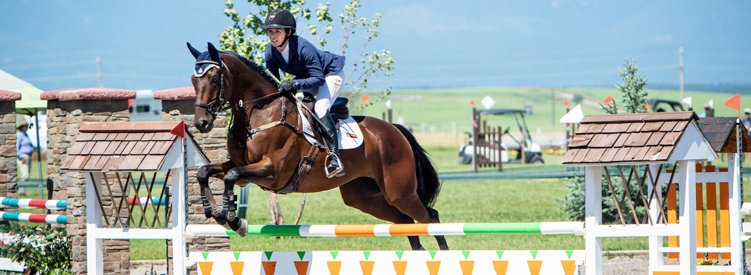 DMC August 2022 AETA Market Overview